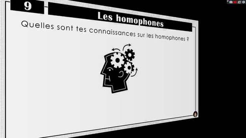 Le Point de Grammaire - les homophones by LA BRUNETTE | TPT