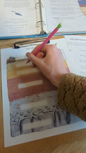 Soil Horizons: labeled & unlabeled diagrams + soil layers science ...