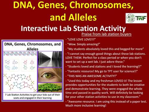 DNA, Genes, Chromosomes, and Alleles - Lab Station Activity by Teach ...