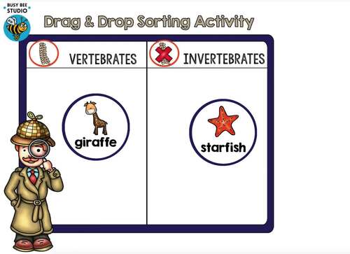 VERTEBRATES AND INVERTEBRATES SORT 1ST 2ND GRADE SCIENCE BOOM CARDS ...