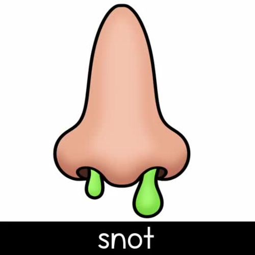 Initial SN Blends Clip Art • Speech Therapy/Phonics by SpeakEazySLP