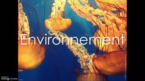 French Environment Vocabulary by Inspired French | TPT