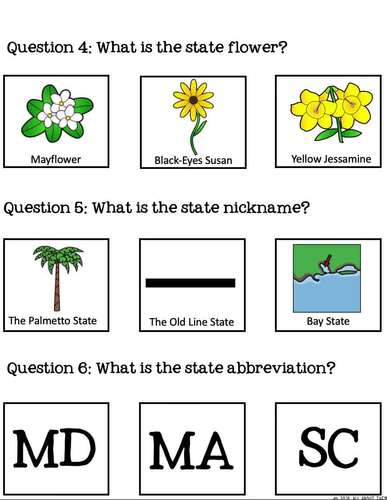 Massachusetts Quiz & Assessment, 50 States, Special Education | TPT