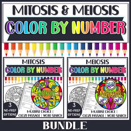 Mitosis and Meiosis Color by Number Bundle|Cell Division Biology Review ...