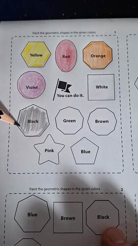 Coloring the geometric shapes -NCG001 by Pixel Craft | TPT