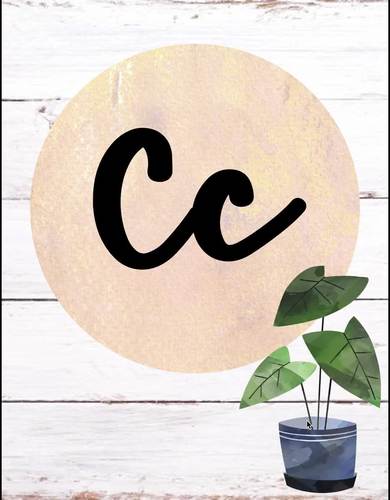 Boho House Plant Alphabet Posters Classroom Decor | TPT