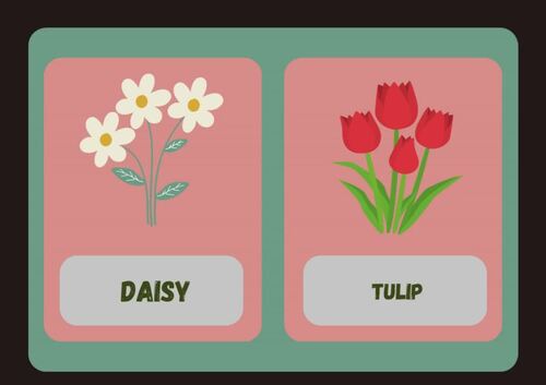 Pink Blue Cute Spring Flashcards by professional designer | TPT