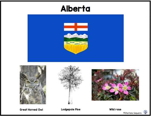 Canada Research Booklet Flags and Symbols by Diamond Mom | TpT