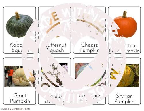 Pumpkins/Montessori 3 Part+Info Cards/Parts+Life Cycle Of A Pumpkin ...