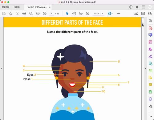 ESL Beginners Lesson: Learn Physical Descriptions in English | TPT