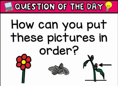 Garden Study Question Slides Curriculum Creative | TPT