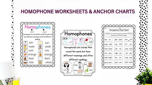 Homophones Worksheet - Homophones Activities, Anchor Charts, 2nd, 3rd ...