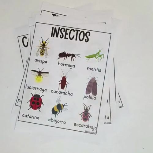 Word Wall in Spanish Writing Center Centro de escritura Español | TPT