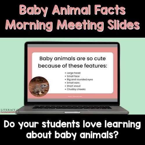 Baby Animal Facts Morning Meeting Slides | 180 Days of Facts | TPT