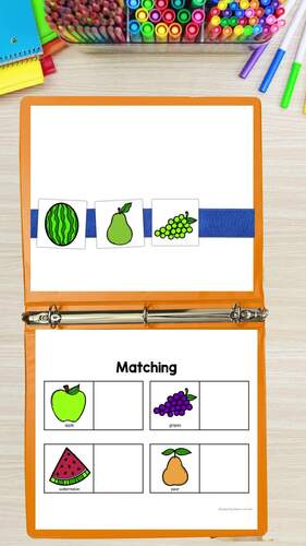 Autism Morning Work Binders Bundle. ESL & Busy Book Activities Special ...