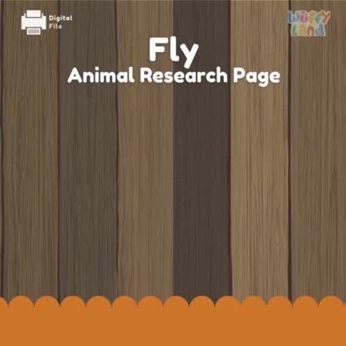 Fly Life Cycle and Animal Study Worksheet Science Activity Bundle by ...