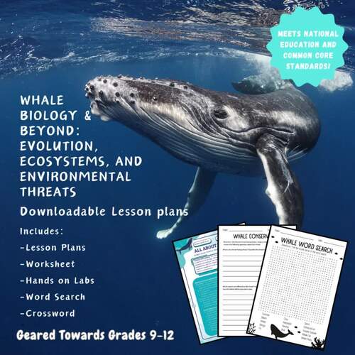 Whale Biology & Beyond:Evolution, Ecosystems & Environmental Threats ...