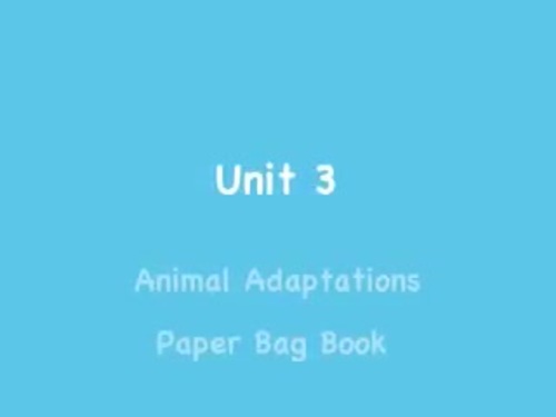Benchmark Advance 3rd Grade Unit 3 Animal Adaptations Project | TPT