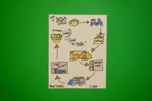 Let's Draw a Food Supply Chain-Seed 2 Plate@ by Patty Fernandez Artist