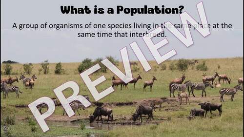 Population Growth Models COMPLETE Lesson Bundle | Environmental Science