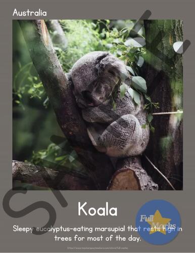 Australia Real Photo Poster Set, Boho Classroom Decor Modern Geography ...