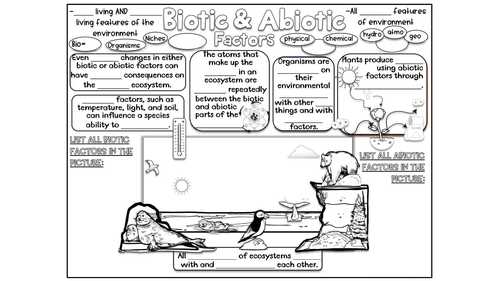 Biotic & Abiotic Factors Doodle Notes & Quiz | NGSS Ecology and Ecosystem
