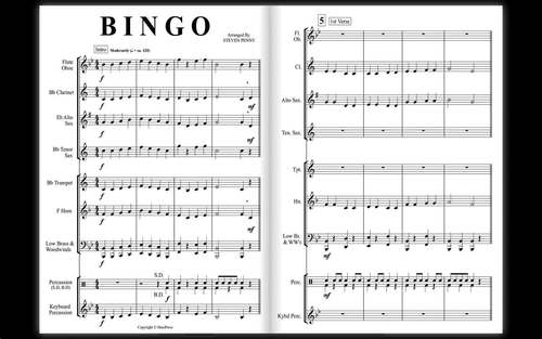 BINGO for Beginner Band by MusiPress | TPT