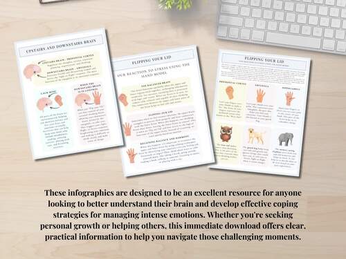 Understanding your Brain when your flipping your lid, Brain and ...