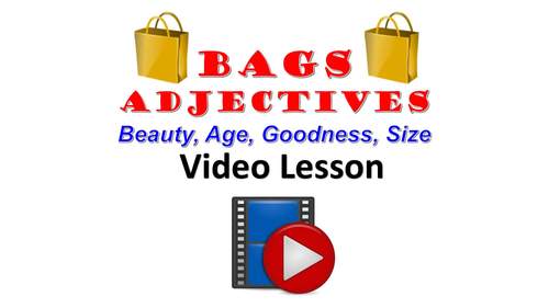 BAGS Adjectives in French: French Video Lesson | TPT