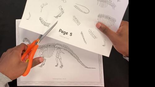 Dinosaur Dig & Research Project-Junior High School Level by Midnight Star