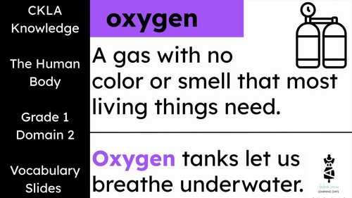 The Human Body Vocabulary Slides and Posters CKLA Knowledge Grade 1 ...