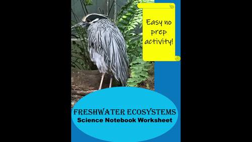 Freshwater Ecosystems No Prep Science Notebook Worksheet | TPT