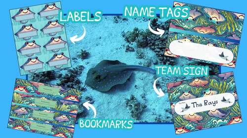 Printable Class Teams, Nametags, Labels, Bookmarks, and Line-order ...