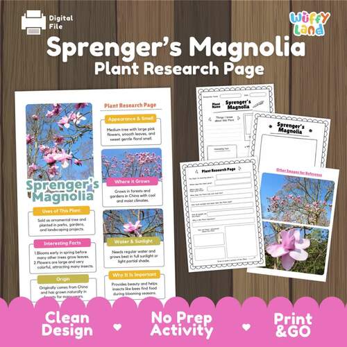 Sprenger's Magnolia Plant Research Page | Spring Flower Activity ...