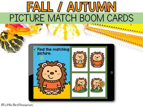 Fall Animals Matching Identical Pictures Boom Cards Same and Different ...