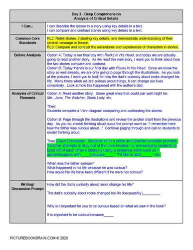 Rocks in His Head by Carol Otis Hurst Lesson Plan and Activities