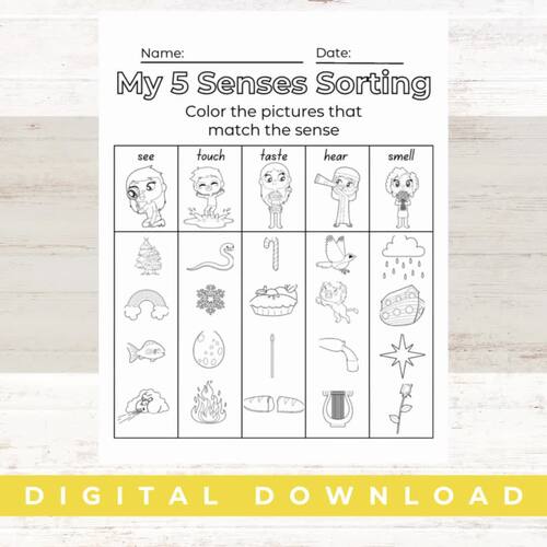 My 5 Senses Worksheets | Preschool | Kindergarten by Healing Home