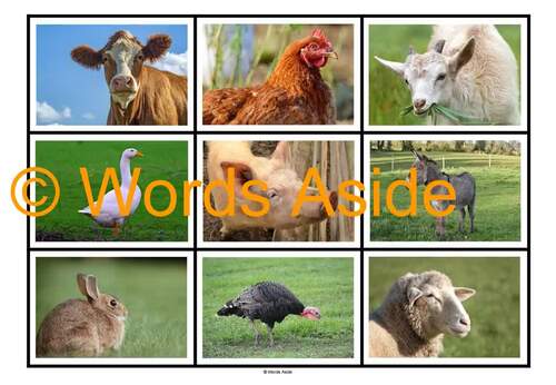 Vocabulary Photo Picture Flash Cards Preschool Autism SpEd ESL Farm Animals
