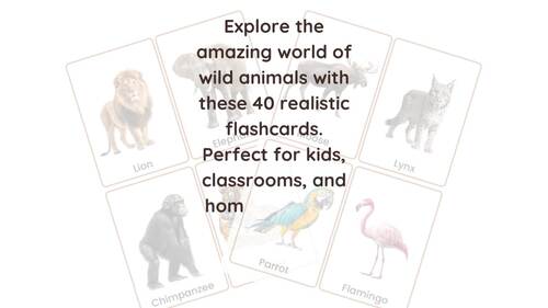 Wild Animals Flashcards – 40 Printable Vocabulary Cards by Savvy Teaching