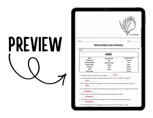 Grains Worksheets for Culinary Arts & FACS | Vocabulary, Types ...