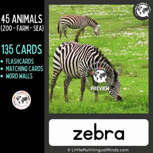 Animal Vocabulary Flashcards & Matching - Speech Therapy, Special ...