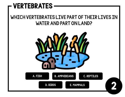 Vertebrates Digital Task Cards Activity | Science Boom Cards™ by EzPz ...