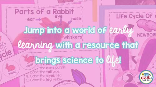 All About Rabbits, Bunny Activities, Spring & Easter Science for ...