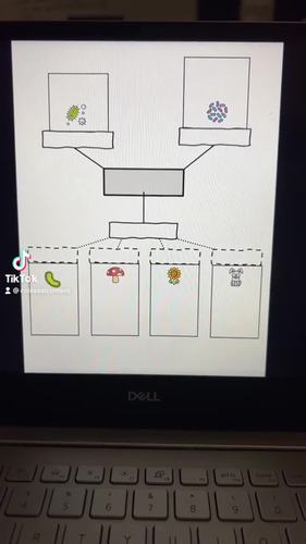 Taxonomy Notes and Crossword Puzzle by Colossal Content | TPT