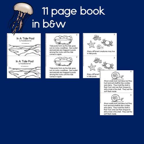 Tide Pools Non-fiction Book Reading Comprehension and Photographs