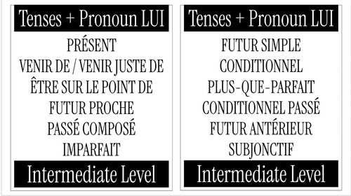 French Tenses and Pronouns Translations Exercise #3 - Intermediate Level