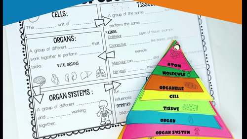 Levels of Organization Interactive Guided Notes | Atom to Organism