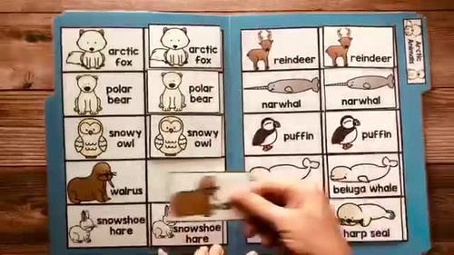 Vocabulary Matches ANIMALS for Preschool, Kindergarten & Special Education
