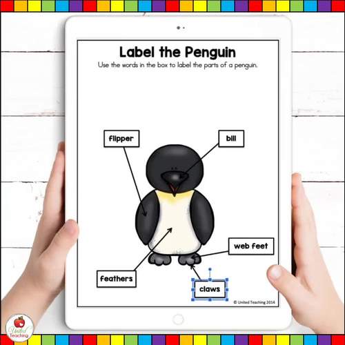 Arctic Animals | Polar Animals Activities | Winter | January | Kindergarten