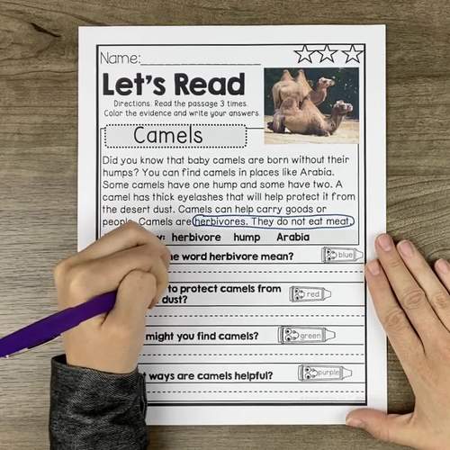 Reading Comprehension Text Evidence for Beginners Bundle: Digital and Print